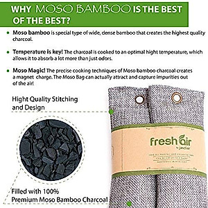 4 Pack Diaper Refill Liners – Compatible with Dekor PLUS Refill - Disposable Diaper Pail Liners Hold Up To 2372 Diapers – Baby Scented Refills with Natural Charcoal Smell Eliminator Bags