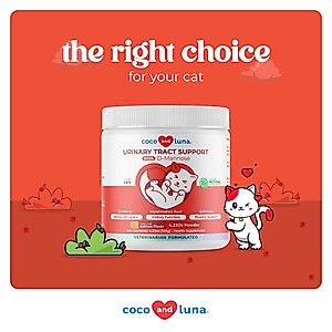 Cranberry for Cats - Incontinence Support, Urinary Tract Support, Cat UTI, Bladder Support, 120g Powder (for Cats)