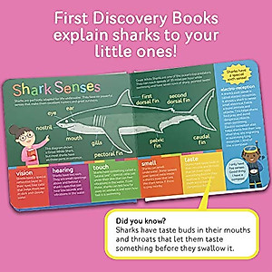Sharks (Smithsonian Kids First Discovery Books)
