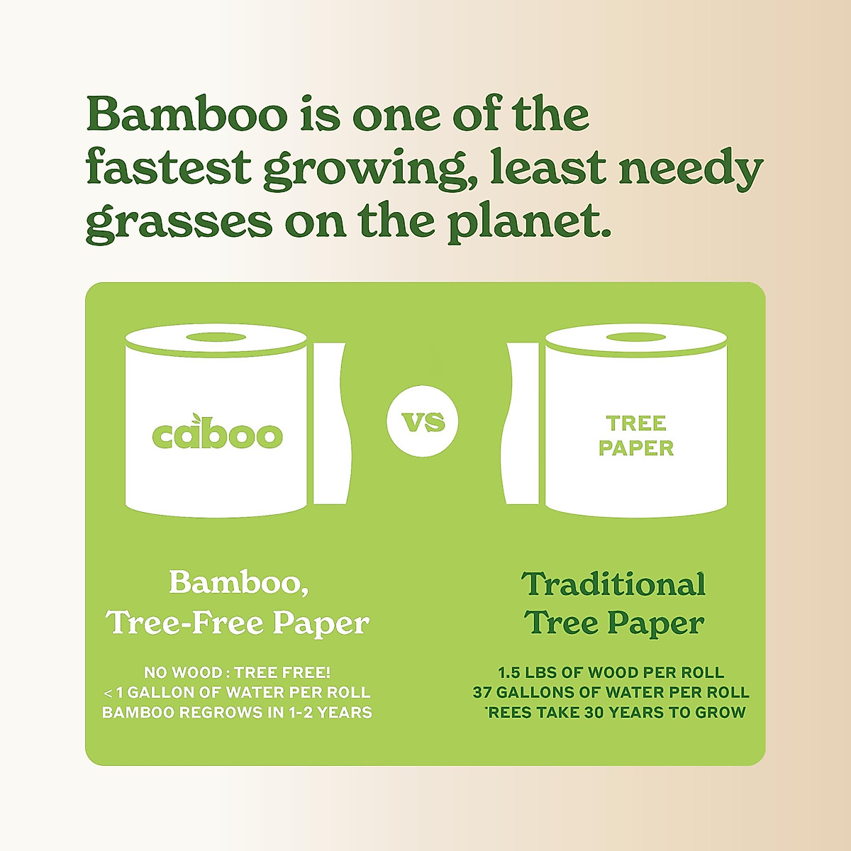 Caboo Tree Free Bamboo Paper Napkins, 4 Packs of 250, 1000 Total Napkins, Eco Friendly, Sustainable, and Disposable Kitchen Napkins