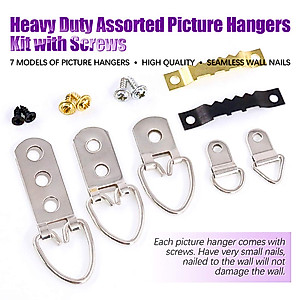 Swpeet 415Pcs Picture Hangers Kit with Screws, Heavy Duty Assorted Picture Hangers Assortment Kit for Picture Hanging Solutions with Transparent Box - 7 Models