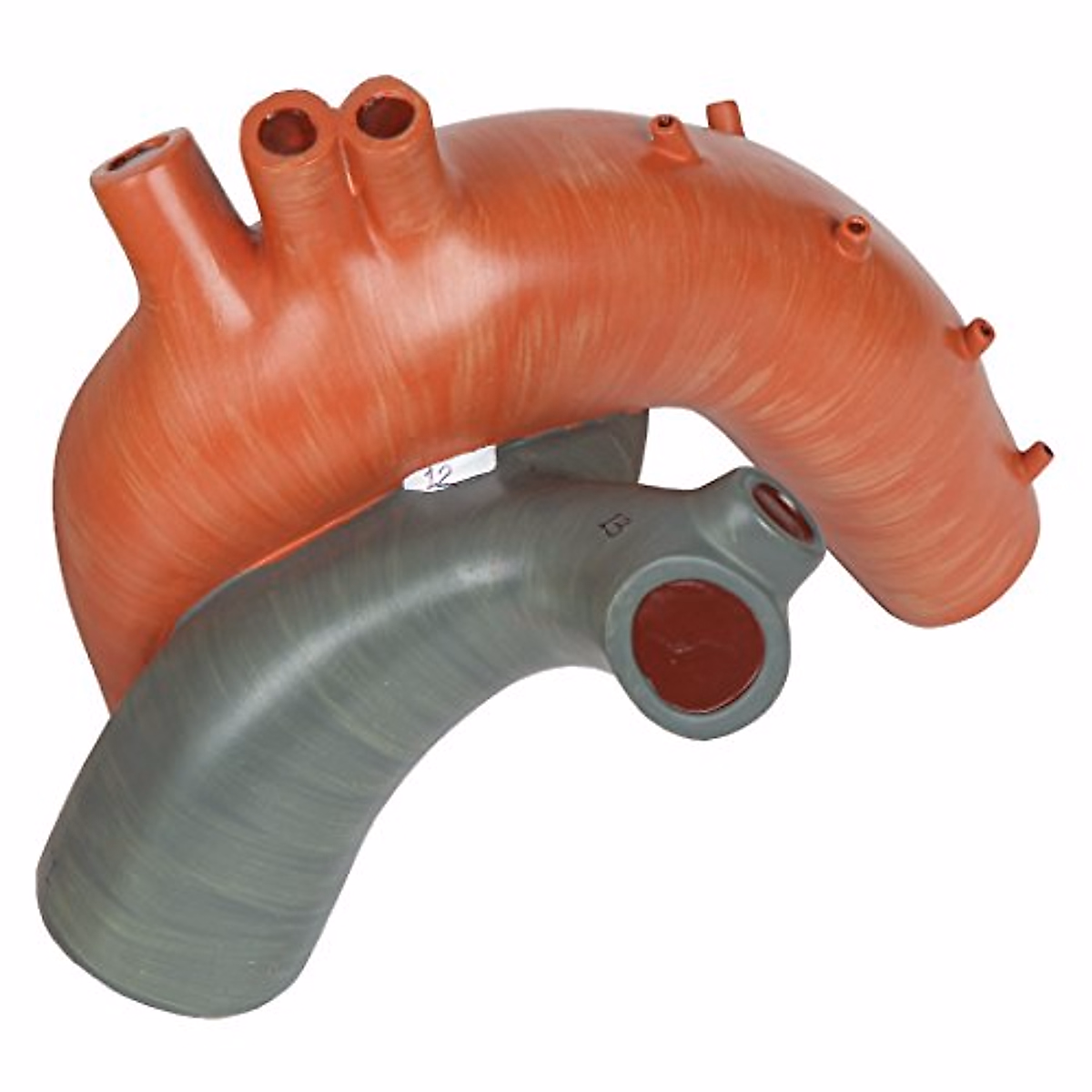 Axis Scientific Enlarged Human Heart Model, 3x Life-Size, Anatomically Accurate 3-Part Numbered Anatomical Heart Illustrates 34 Internal Structures, Magnetically Connected, Includes Product Manual