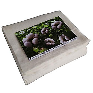 Crib Quilt Batting for Quilting,2PCS 45"X60" Natural Cotton Quilting Batting Fabric for Sewing