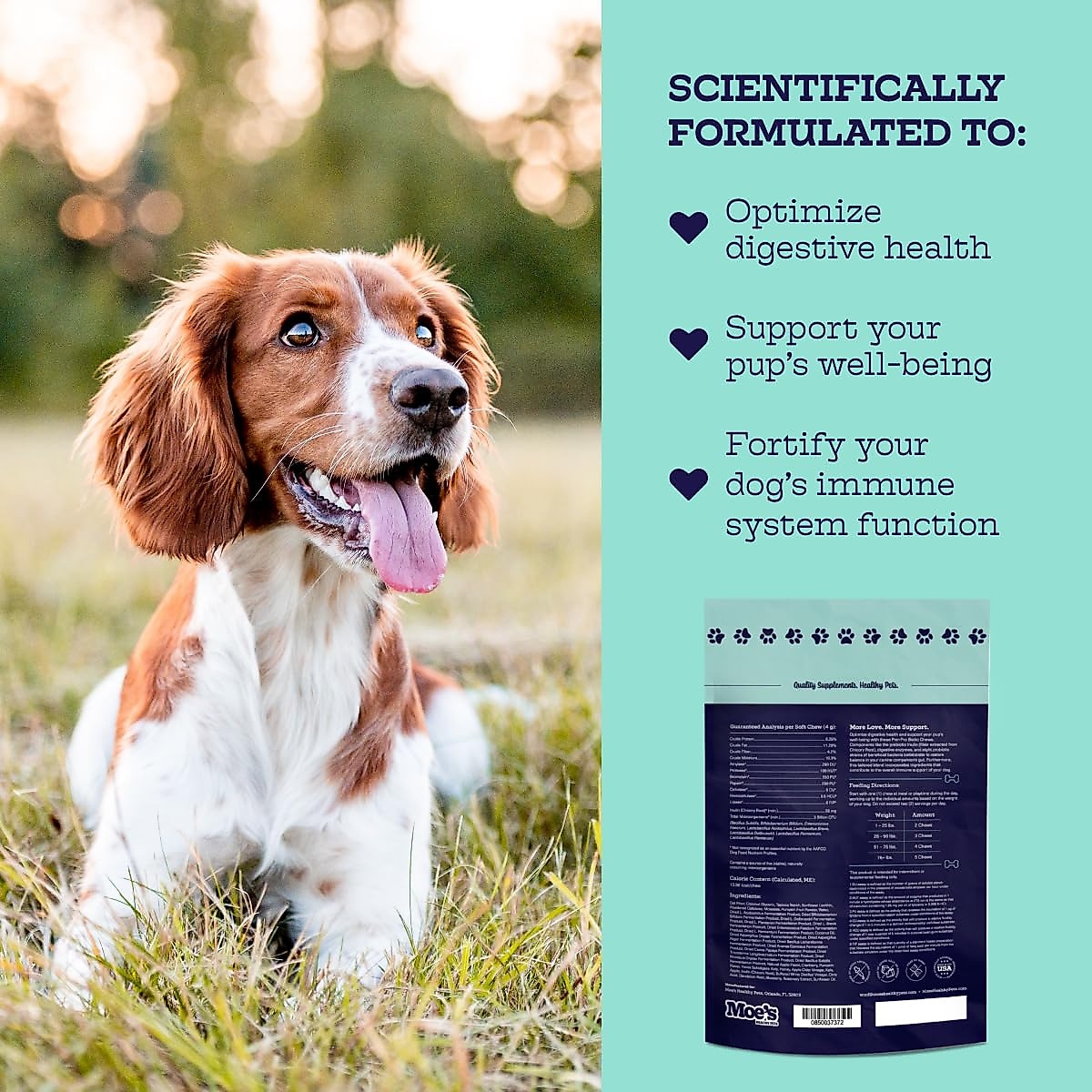 Moe's Healthy Pets Prebiotic and Probiotic for Dogs - Dog Probiotics for Digestive Health and Vitality - Probiotic Chews for Dogs with Pumpkin Flavor - Fiber Supplement for Gut Health for Dogs