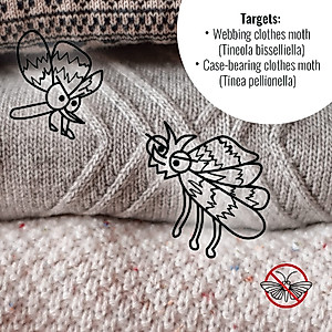Clothing Moth Traps with Pheromones 6-Pack - Clothes Moth Trap with Lure for Closets & Wardrobes, Carpet and Fabric Moth, Wool Moths Traps Indoor Moth Treatment & Prevention