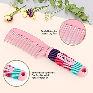 Hair Brush Comb Set, Mini Detangling Hair Brushes for Women Men Kids, Pocket Travel Detangler Hair Brush and Small Wide Tooth Comb for Curly Thick Long Fine Dry Wet Hair, Removes knots Minimizes Pain