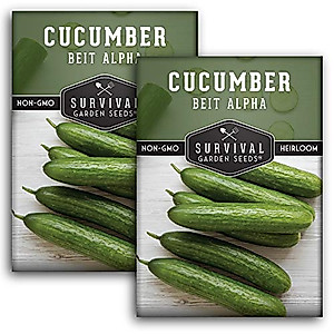 Survival Garden Seeds - Beit Alpha Cucumber Seed for Planting - Pack with Instructions to Plant and Grow Smooth Green Burpless Cucumbers in Your Home Vegetable Garden - Non-GMO Heirloom Variety - 2