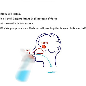 Scented Water Bottle,Compatible with Airs Up Water Bottle Starters Set | Compatible with Airs Up Water Bottle Flavour Pods Scented|Compatible with air up Water Bottle (Mango)