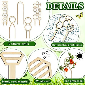 6 Pcs Wooden Small Indoor Trellis Potted Climbing Plants Hexagon Trellis Honeycomb Outdoor Garden Plant Lattice Moon Wooden Pot Trellis for Vine Flower Stem Training Support Pole Accessories, 6 Shapes