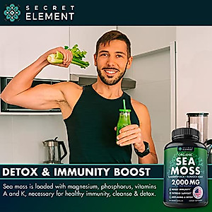 Organic Sea Moss Capsules - Burdock Root, Irish Moss and Bladderwrack Capsules for Immune System, Gut, Skin & Energy - 120 Irish SeaMoss Pills with Raw Sea Moss Powder