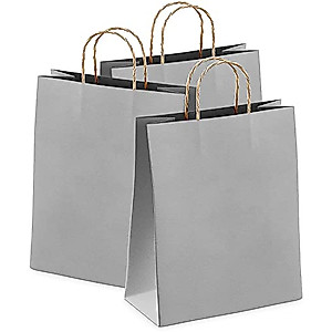 PUREVACY Paper Shopping Bags with Handles 8 x 4.75 x 10.5 Inch, Pack of 25 Gray Kraft Paper Bags with Handles, Paper Gift Bags with Handles, Reusable Party Favor Bags for Small Business and Shopping