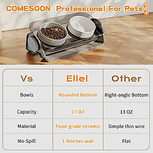 Oneluck Elevated Cat Bowl, Raised Ceramic Cat Dish,100% Waterproof Cat and Dog Bowls,15° Tilted Raised Stand Slip Resistant Raised Edges, Catch Water, Food Mess, No Spills,