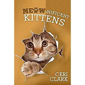 Meow-nificent Kittens: The Secret Personal Internet Address & Password Log Book for Kitten & Cat Lovers (Disguised Password Books)
