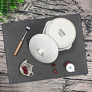 Nuscen Microfiber Dish Drying Mat Super Absorbent,(Set of 2) Fast-Drying Dish Mat,Foldable Sink Mat 15.4" x 9.8" Dish Drying Pad for Kitchen Counter Machine Washable 50x38cm