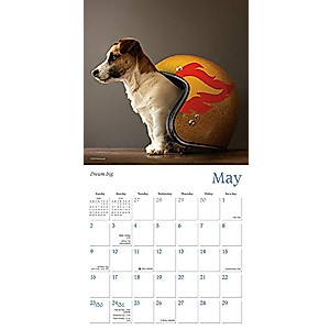 2021 Dogma: A Dogs Guide to Life 16-Month Wall Calendar