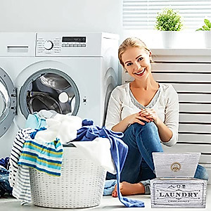 LUSAV Dryer Sheet Holder Dispenser with Hinged Lid for Laundry Room - Farmhouse Decor Dryer Sheets Container - with air Purifying Bag -Rectangular Box (Grayish-White) 7.9''x5''x4.2''