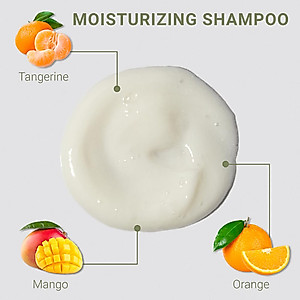 LOMA Moisturizing Shampoo 33 Ounce (Liter)