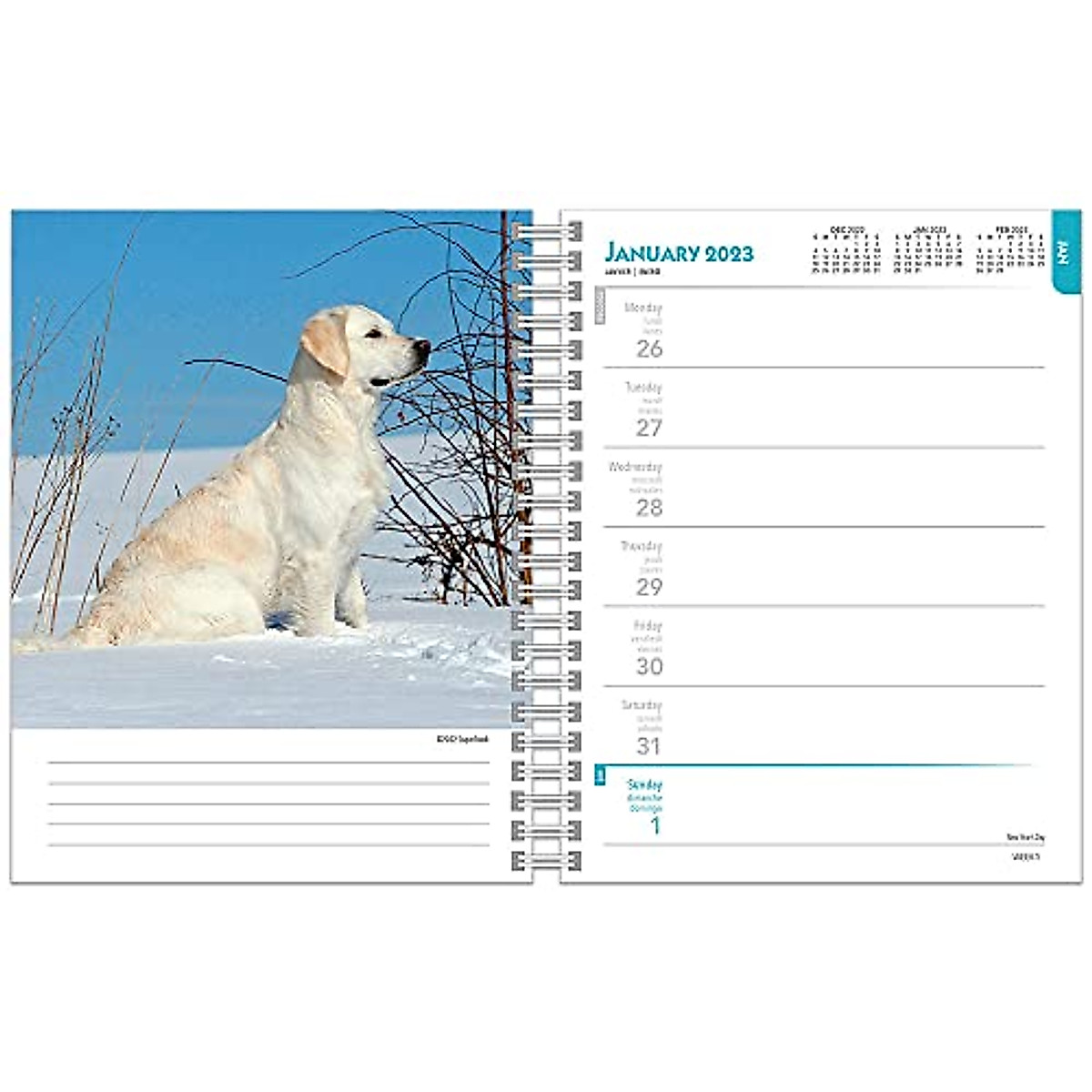 Golden Retrievers | 2023 6 x 7.75 Inch Spiral-Bound Wire-O Weekly Engagement Planner Calendar | New Full-Color Image Every Week | BrownTrout | Animals Dog Breeds Pets