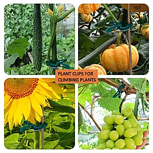 Heyfurni Metal Obelisk Trellis & Plant Clips,Garden Trellis for Climbing Plants,Plant Support for Cucumbers,Rose,Tomato,Vines,Vegetables Trellis Cage Indoor & Outdoor,40pcs Garden Clips