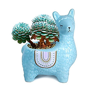 Dahlia Cute Llama Ceramic Succulent Planter/Plant Pot/Flower Pot/Bonsai Pot, Sky Blue