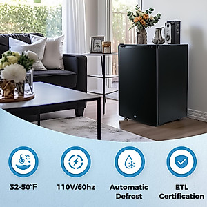 HIPOPLLER Compact Refrigerator, 1.42 cu.ft 110V Quiet Mini Fridge, Reversible Door with Lock, Energy Efficient Beverage Cooler for Bedroom Dorm RV Hotel Office, Black