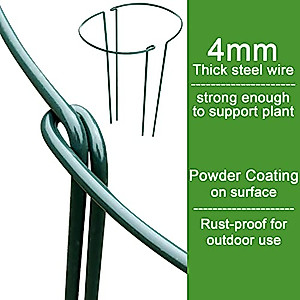 HiGift 6 Pack Plant Support Plant Stakes, Metal Garden Peony Support Cages, Outdoor Plant Support Ring Cage,Large Plant Support Stakes for Tomato,Rose,Flowers Vine,Indoor Plants (10" W x 15.8" H)
