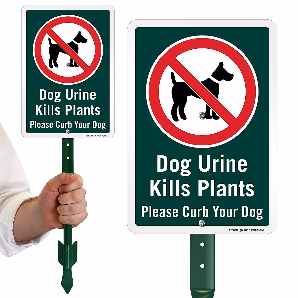 SmartSign 10 x 7 inch “Dog Urine Kills Plants, Please Curb Your Dog” LawnPuppy Yard Sign and 18 inch Stake Kit, 40 mil Laminated Rustproof Aluminum, Green and White, Set of 1