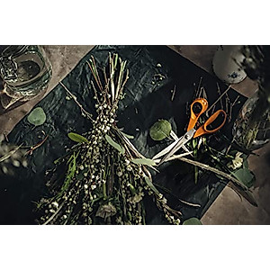 Fiskars 1000815 General Purpose Scissors, Total Length: 21 cm, Quality Steel/Synthetic Material, Classic, one, Orange