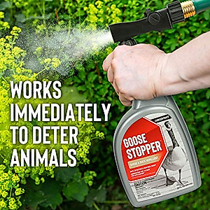 Goose Stopper Repellent - Safe & Effective, All Natural Food Grade Ingredients; Repels Geese and Ducks; Easy to Use Hose End, 32 oz. Liquid Concentrate