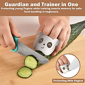 ZLemma Panda Finger Guards for Cutting Food 4 pcs Set, Premium Stainless Steel Finger Protector for Chopping, Slicing Vegetables, Fruits, Meat, Kitchen Tool Gifts for Kids and Adult