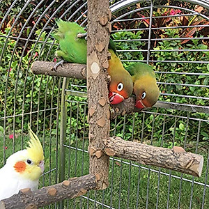 Bird Perch Nature Wood Stand for 3-4pcs Small Medium Parrots (S)