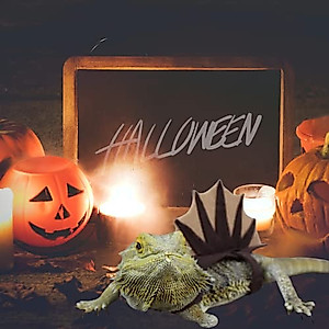 HAICHEN TEC Bearded Dragon Dinosaur Costume Handmade Outfit Felt Apparel Harness for Crested Gecko Chameleon Iguana Reptile