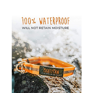 Mighty Paw Waterproof Dog Collar - Smell-Proof Active Gear - Reflective Stripe Coated Nylon Webbing - Dog Swim Collar - Smell Resistant Dog Collar - Dog Collar for All Dog Breeds - (Orange, Medium)