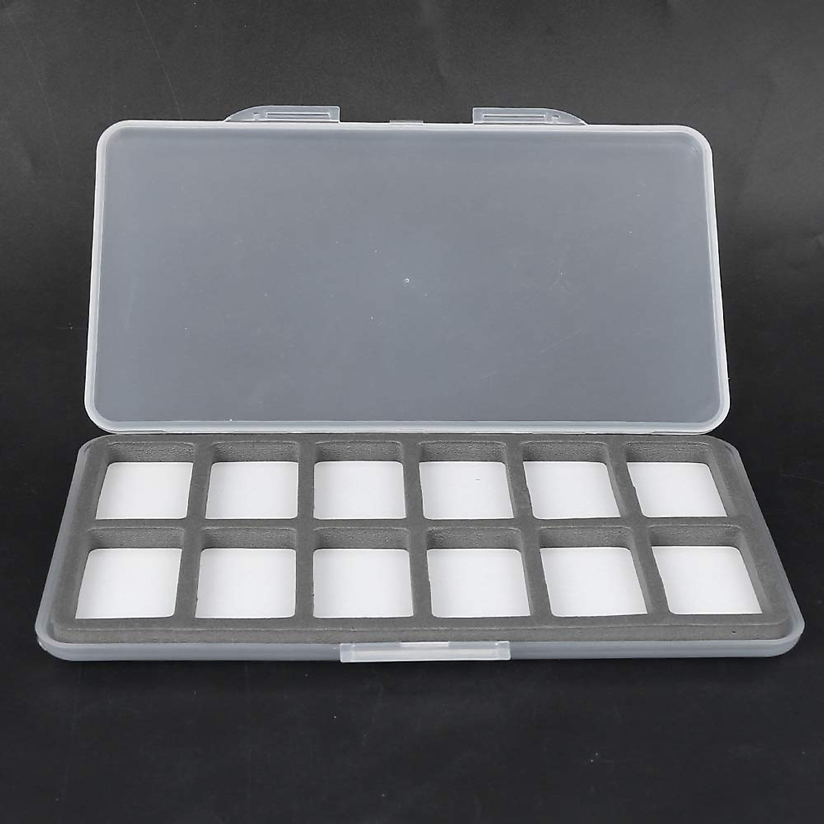 Fishing Tackle Organizer, ABS Magnetic Fly Fishing Storage Box Fish Hook Lure Tackle Case with Foam Accessory(12 Grid)