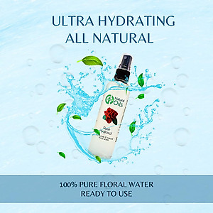 GreenHealth Hydrosol (Floral Water) - 32 fl oz Plastic Jug w/Cap - 100% Pure (NOT Oil) (Rose)