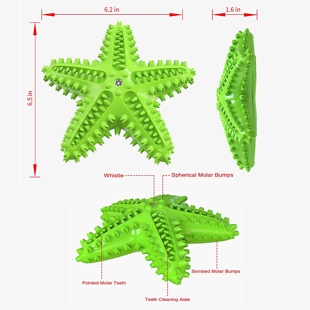 IDOLPET Dog Chew Toys Squeaky Dog Toys Dog Water Floating Toys Starfish Natural Tooth Brush Teeth Cleaning Toy for Small Medium Dog (Green)