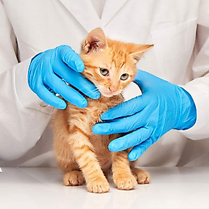 Basic Medical Blue Nitrile Exam Gloves - Latex-Free & Powder-Free - NGPF-7003, Pallet of 48 cases/48,000 gloves, Large