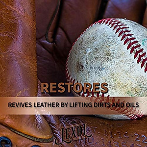 Lexol E301125500 pH-balanced Leather Cleaner, 16.9 oz