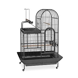 Prevue Pet Products BPV3159 Double Roof Bird Cage with Playtop, 36-1/2 by 27-1/4-Inch, Black
