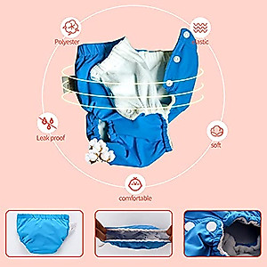 Ijnuhb Washable Baby Swim Diaper Reusable Swimming Diapers for Toddler Swimwear Pants 0-3 Years Boys Shower Gifts (Blue,6 Months)
