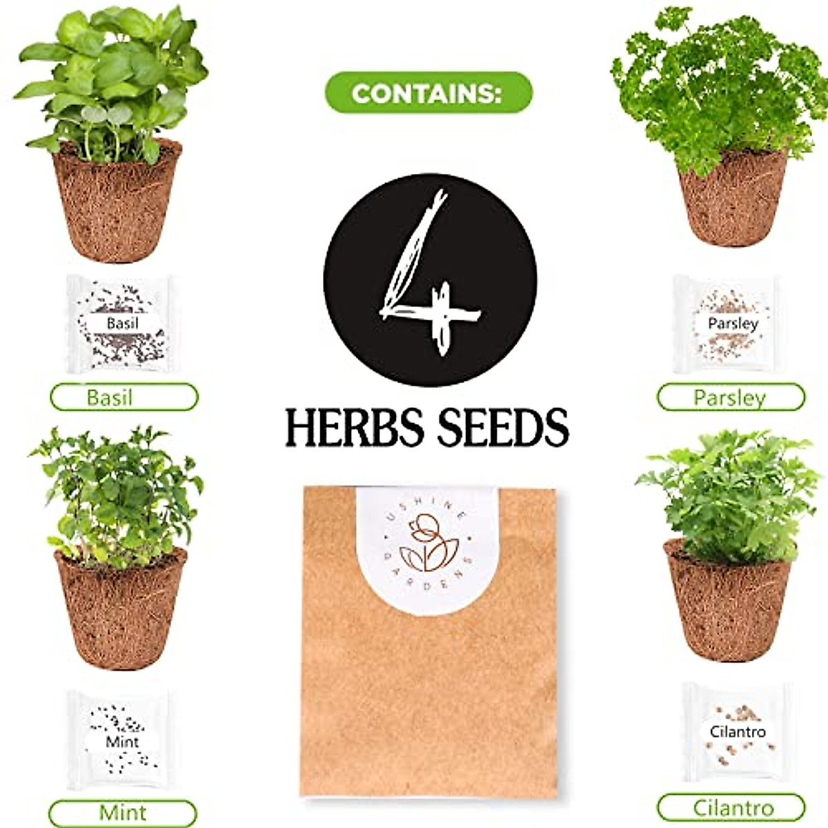 Indoor Herb Garden Starter Kit, Ushine 4 Herb Seeds Grow Kit Basil, Cilantro, Parsley, Mint, DIY Kitchen Plant Grow Kit for Growing Herb Seeds Perfect Gardening Gifts
