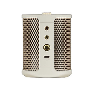 Roland BTM-1 Bluetooth Speaker with Guitar Input