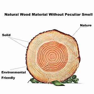 Tree Bench Wrap Around Outdoor Courtyard Bench Wooden Curved Benches Round Park Bench Outdoor Furniture,Solid Wood ​Slatted Seat Fan-Shaped Bench,Garden Tree Bench Backless Bench Patio