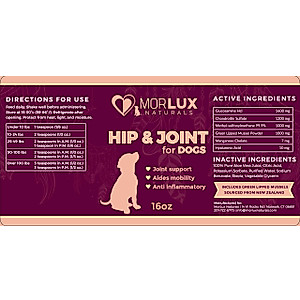 Morlux Naturals Liquid Glucosamine for Dogs, Hip & Joint Supplement w/MSM, Chondroitin, Omega 3, Hyaluronic Acid, All Breeds Green-Lipped Mussel for Improved Flexibility & Mobility, Made in USA, 16 Oz