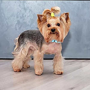 Personalized Dog Collars with Bling Rhinestone Pet Custom Padded Pu Leather Dog Collar for Small Size