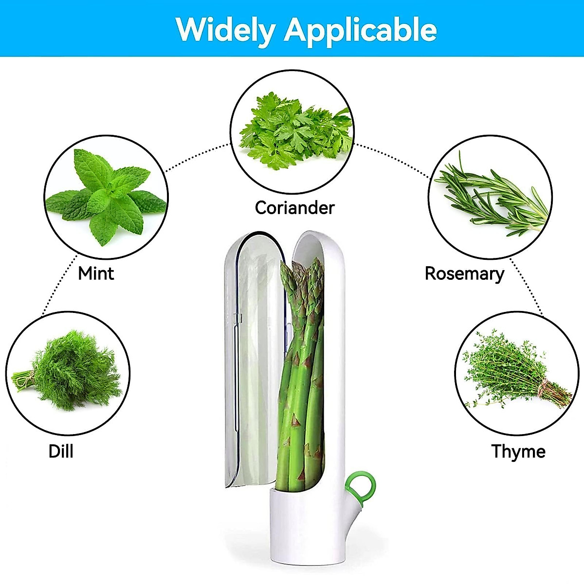 Fresh Herb Keeper for Refrigerator, 2PCS Cilantro Fresh Container Herb Savor Pod Herb Keeper and Herb Saver Fruit Containers Transparent Vegetable Preservation Bottle Kitchen Storage Cup for Cilantr