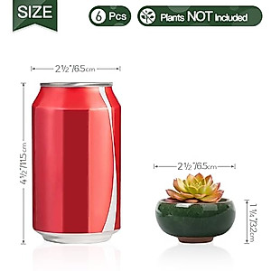 T4U 2.5 Inch Small Ceramic Succulent Planter Pot with Drainage Hole Set of 6, Ice Crack Glaze Porcelain Handicraft Plant Container Gift for Mom Sister Aunt Best for Home Office Desk Decoration