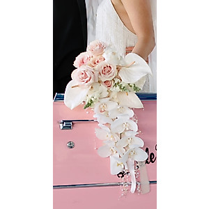 Sullivans Cream and Ivory Pearl Beaded Garland 5 Ft