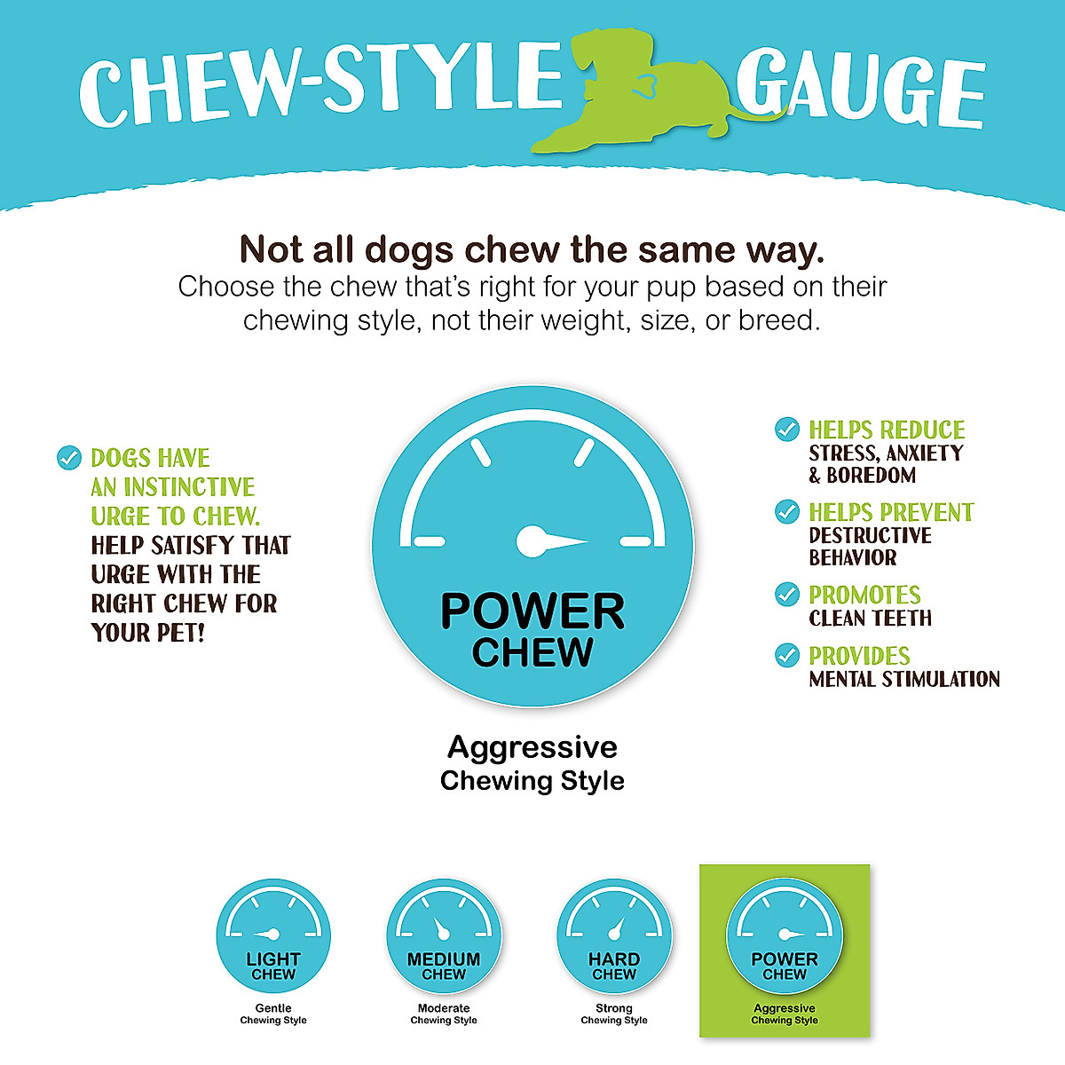 Raw Paws Monster Beef Femur Bones for Dogs, 14-inch, 1-ct - Packed in The USA - Smoked Dog Bones for Large Dogs, Natural Dog Bones for Aggressive Chewers, Giant Dog Bone, Huge Dog Bone