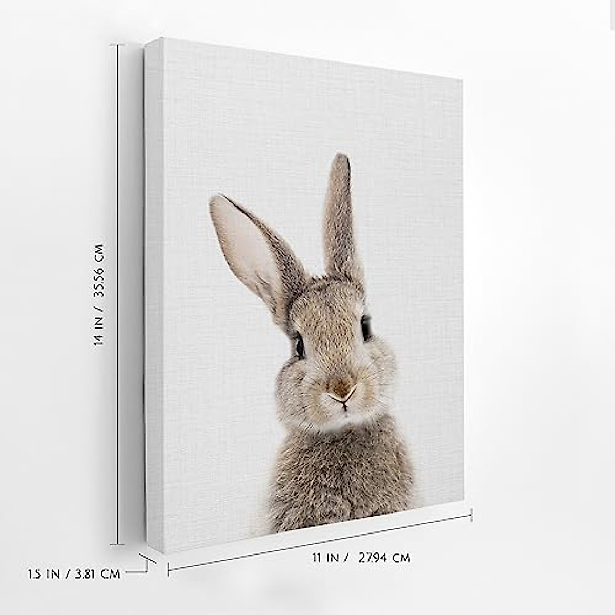 Set of Baby Animals | Safari Jungle Animal Pictures | Quality 11" x 14" Prints on 1.5" Thick Gallery Wrapped Canvas For Nursery Kids Room | Ready to Hang (4 Pack Baby Animal, 11" x 14")